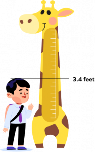 What Is a Meter in Math? Definition, Solved Examples, Facts