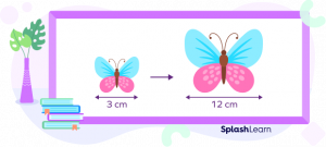 What is Scaling in Math? Definition, Types, Factor, Examples