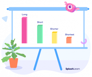 What is Shortest in Math? Definition, Examples, Facts
