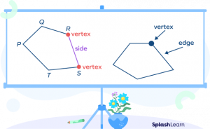 How to Find Sides of a Polygon – Definition, Examples, Facts