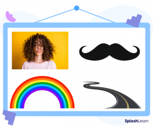 What is Curved Line? Definition, Types, Examples, Facts