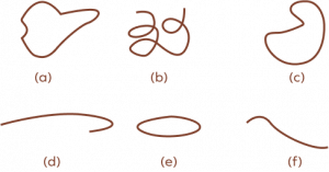 What is Curved Line? Definition, Types, Examples, Facts