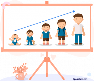What Is Ascending Order? Meaning, Solved Examples, Facts
