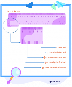 What Is an Inch? Definition, Examples, Measurement, Facts