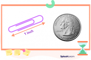 What Is an Inch? Definition, Examples, Measurement, Facts