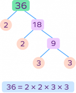 What Is a Factor Tree? Definition, Steps, Examples, FAQ, Facts